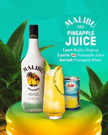 Malibu Coconut Froze Drink Recipe - Malibu Drinks