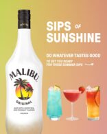 Malibu Blue Hawaiian Drink Recipe - Malibu Drinks
